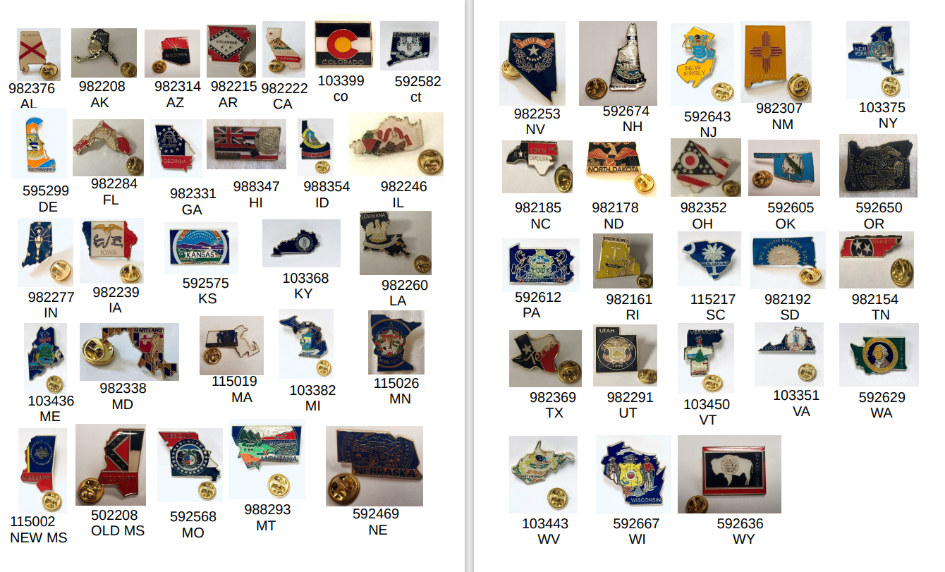 Collection of State Lapel Pins of the USA All 50 US States ...